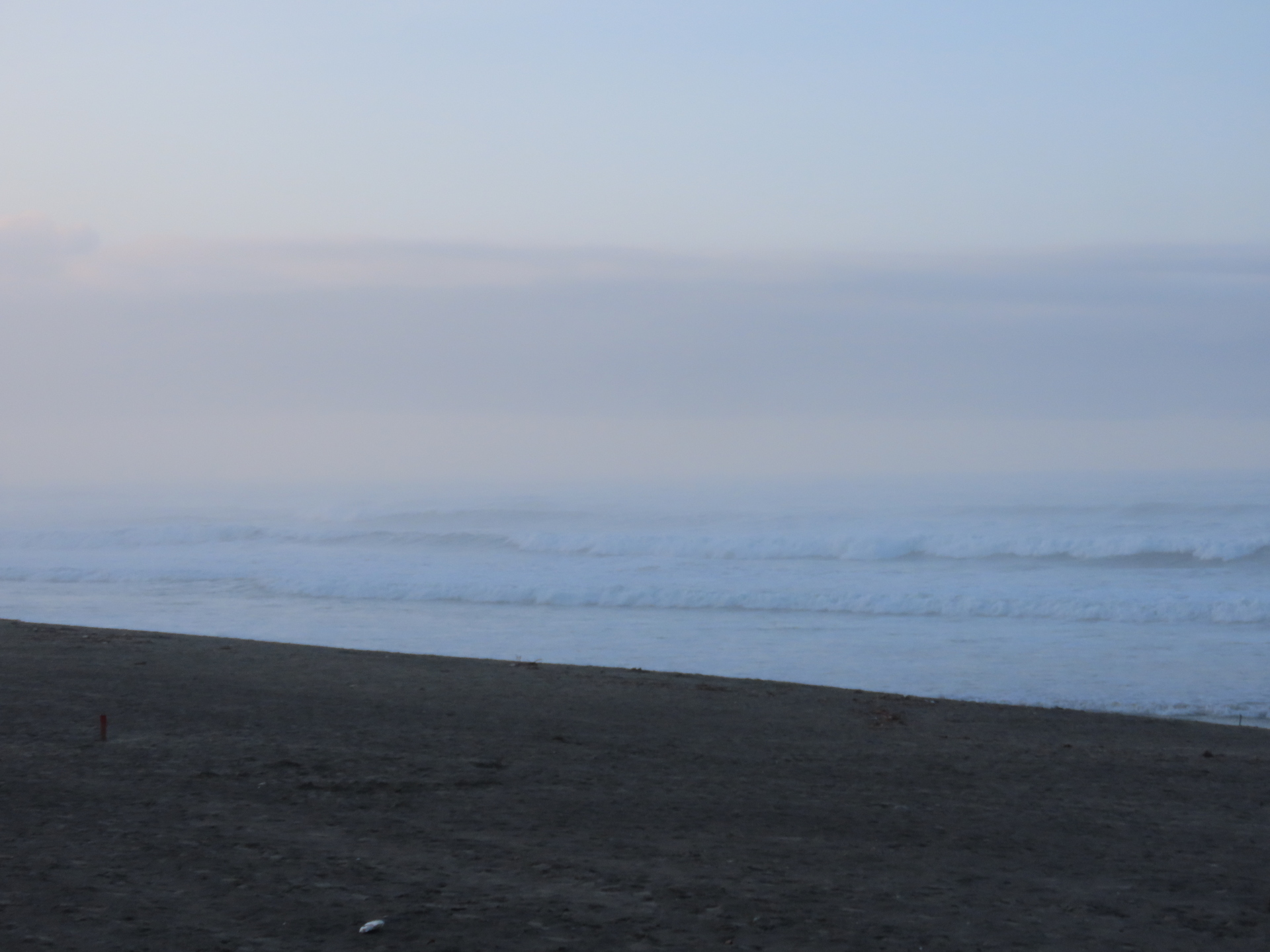 7月29日（火）朝: TA5