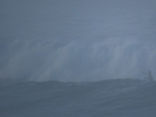 7月29日（火）朝: TA5