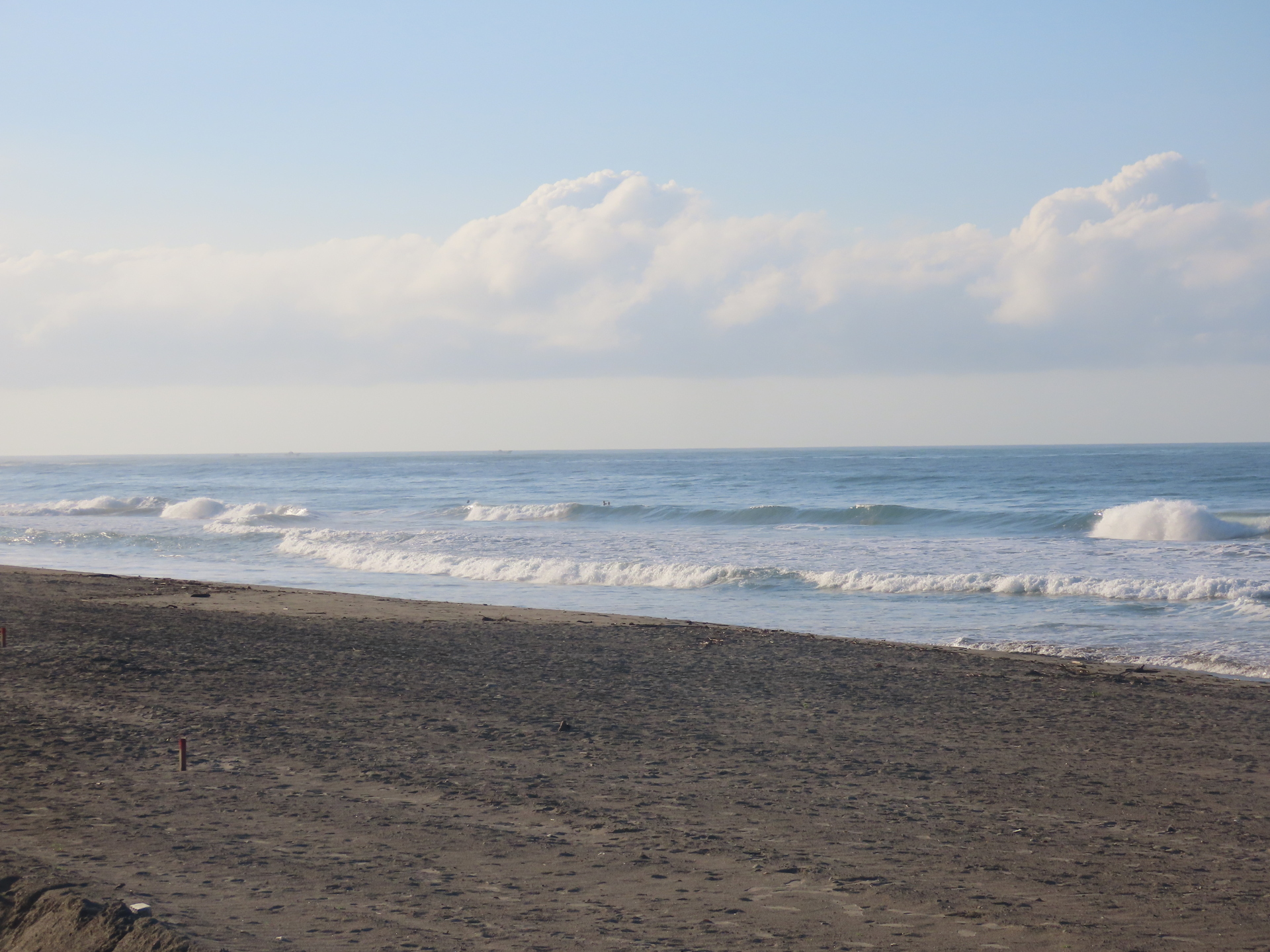 7月30日（水）朝: TA5