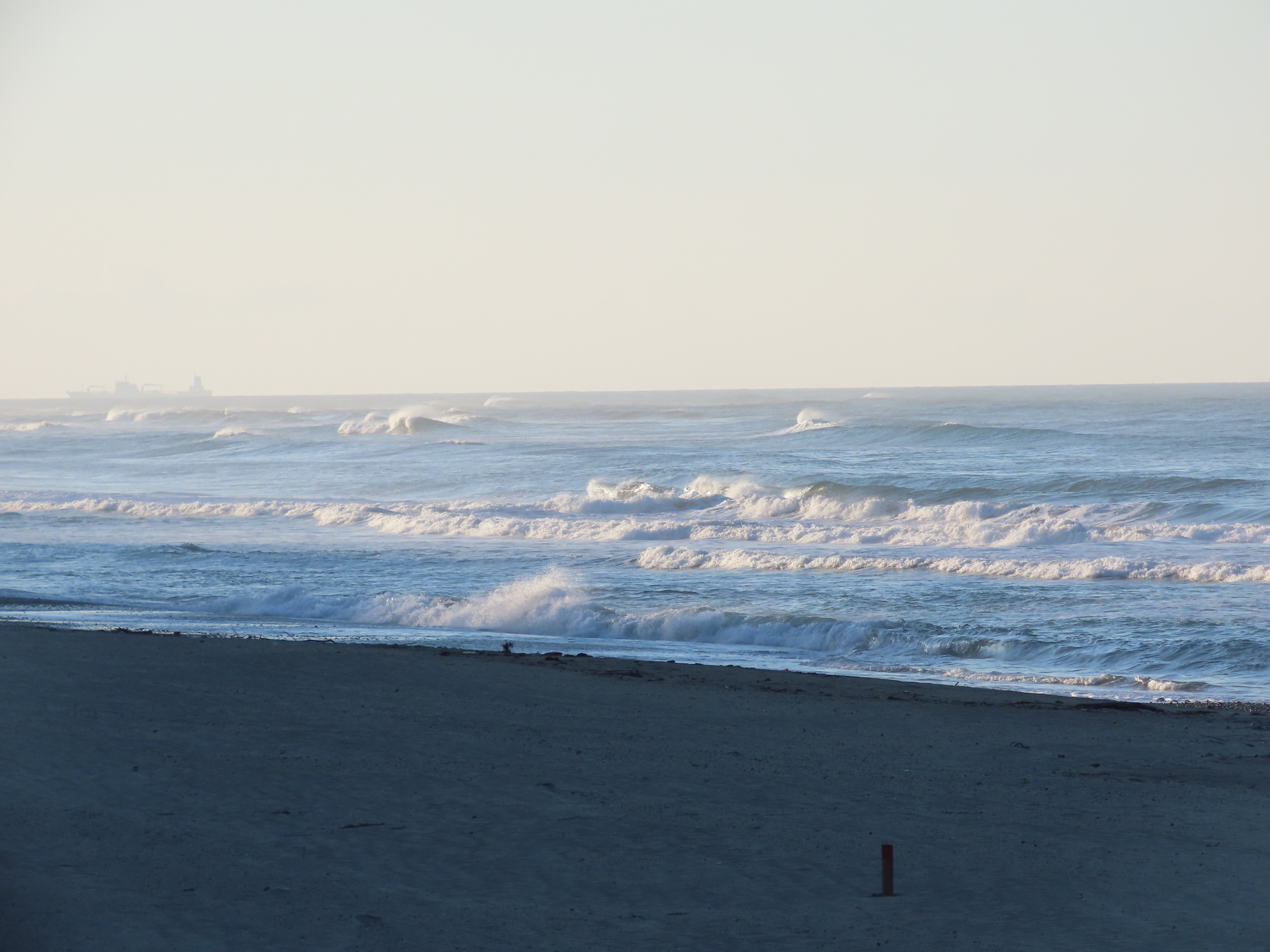 7月31日（木）朝: TA5