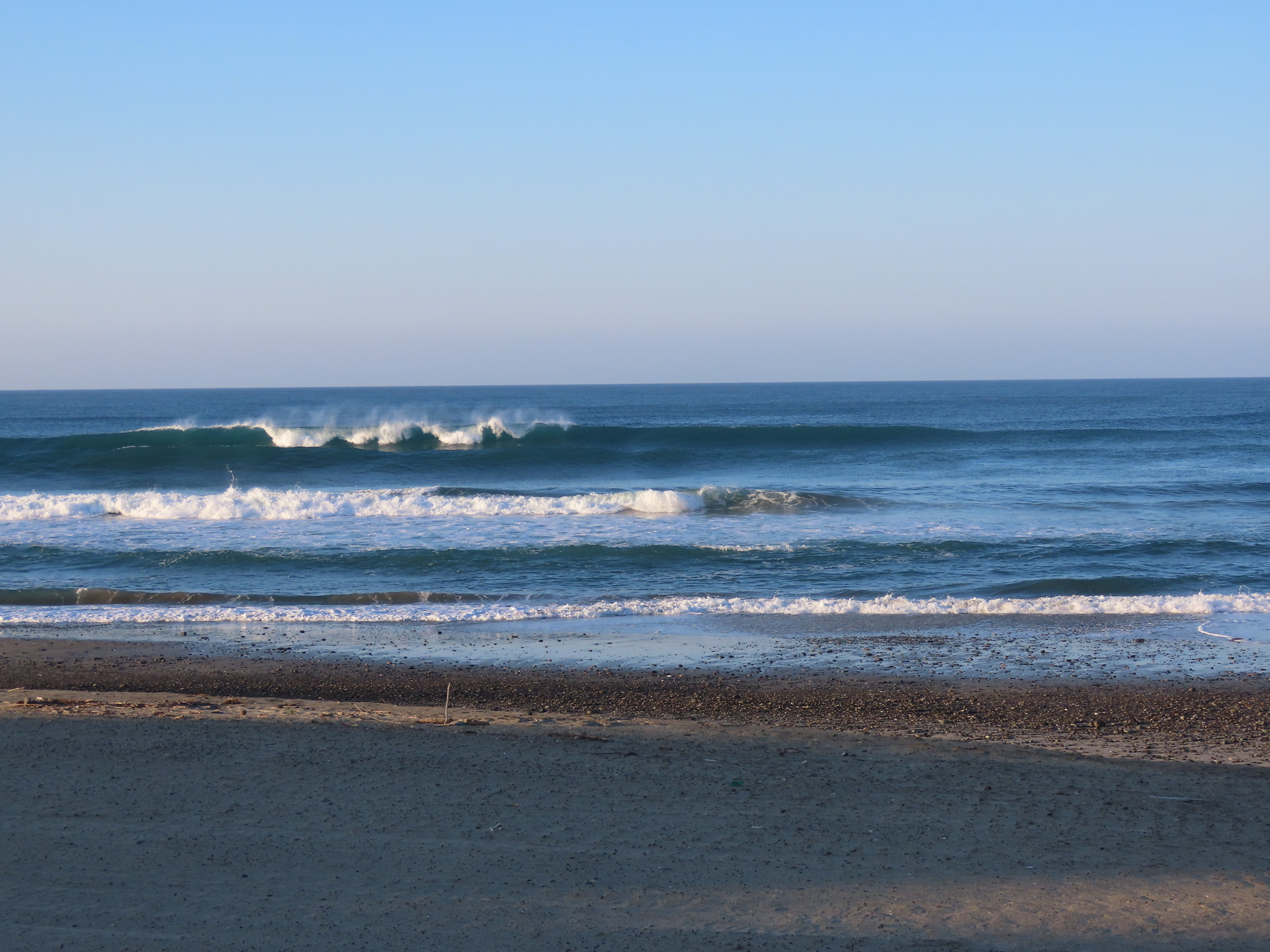 7月31日（木）朝: TA5