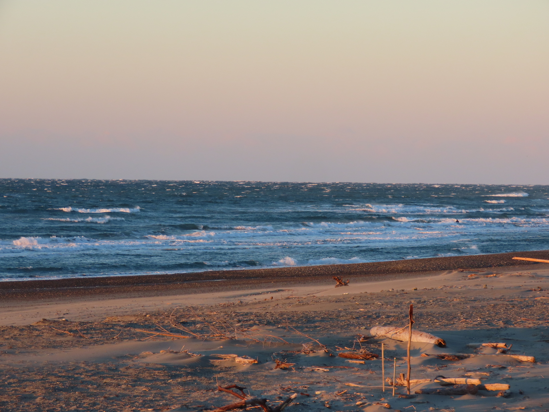 11月23日（土）朝: TA5