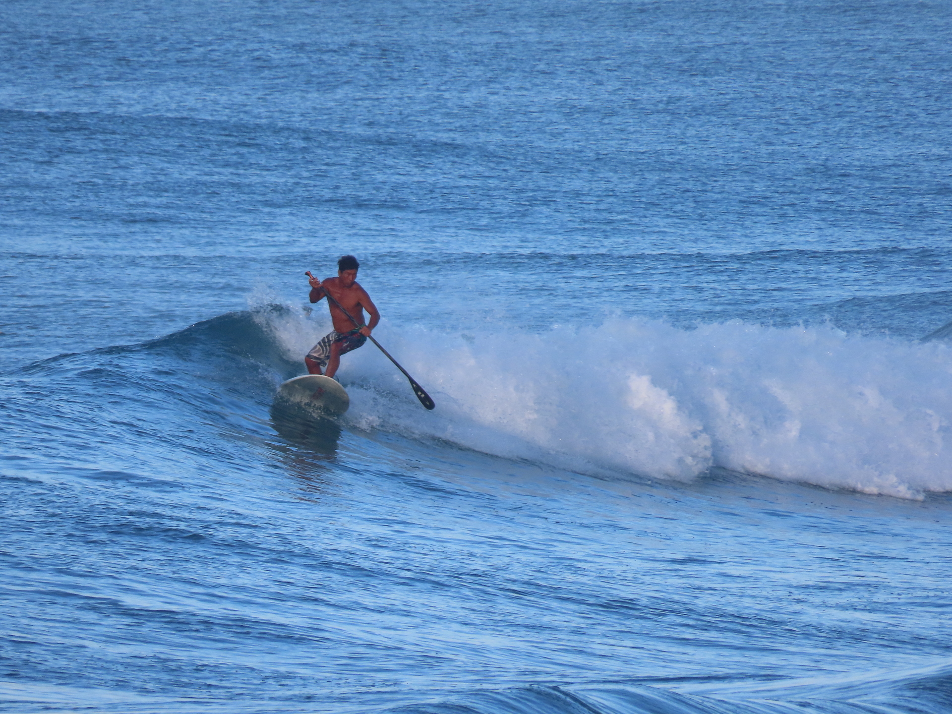 8月1日（金）朝: TA5