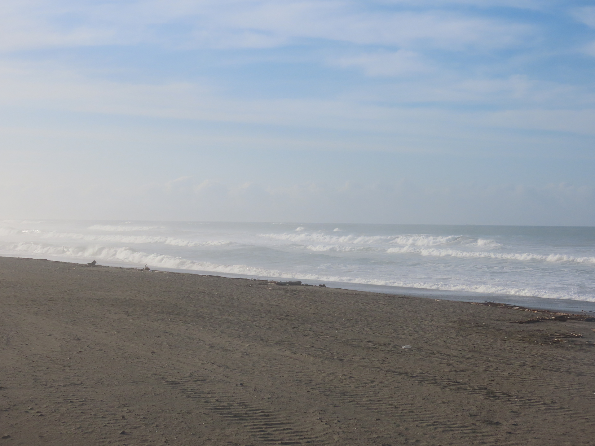 7月26日（金）朝: TA5