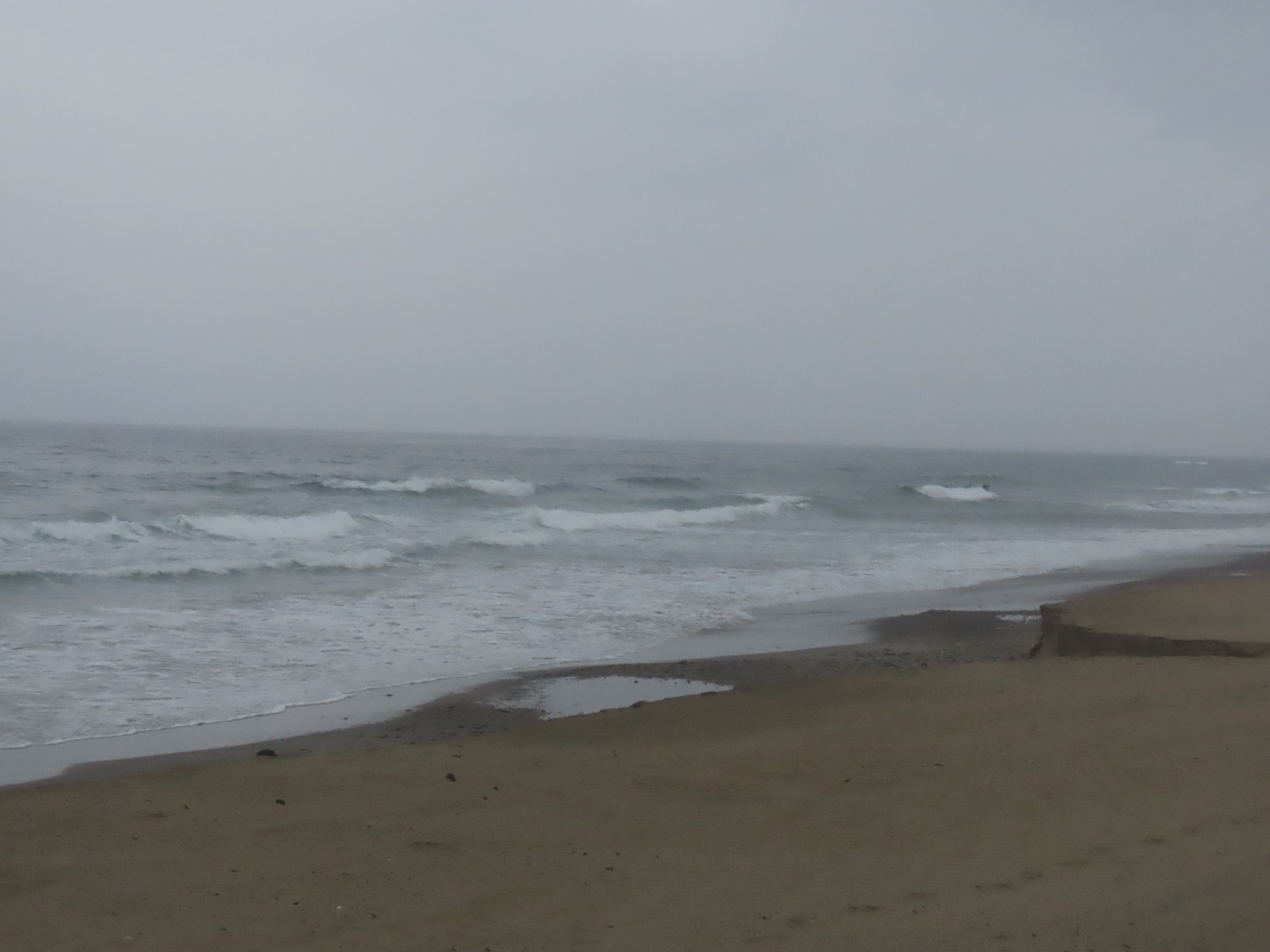 8月10日（日）朝: TA5