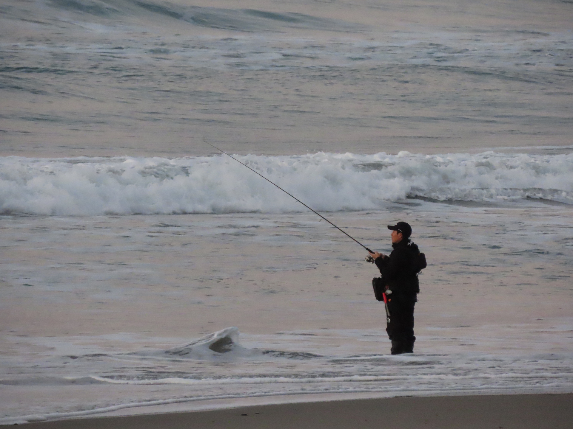 11月25日（月）朝: TA5