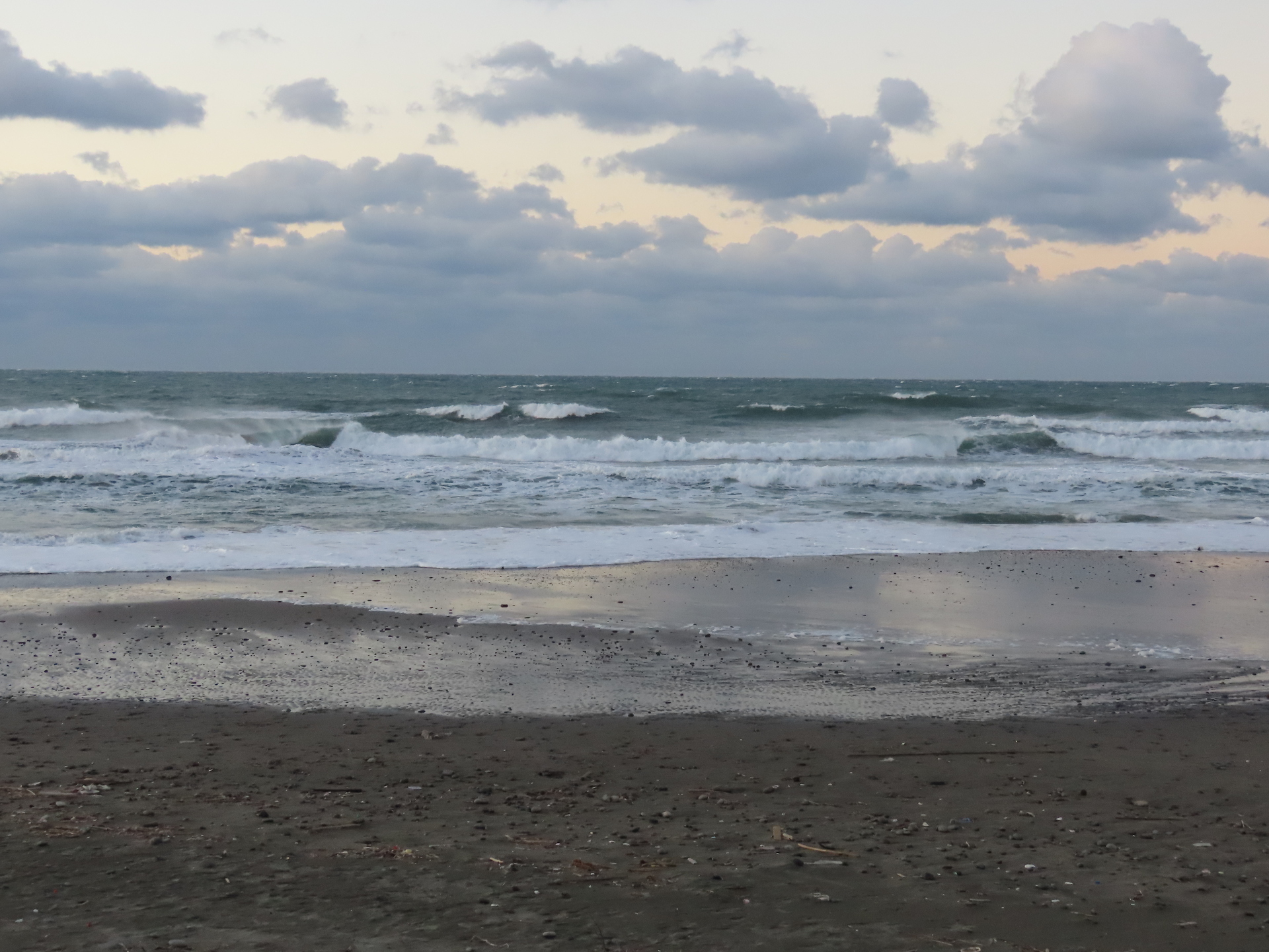 11月30日（土）朝: TA5