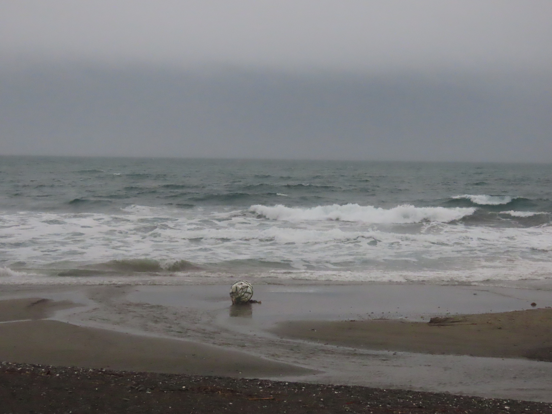 5月28日（火）朝: TA5