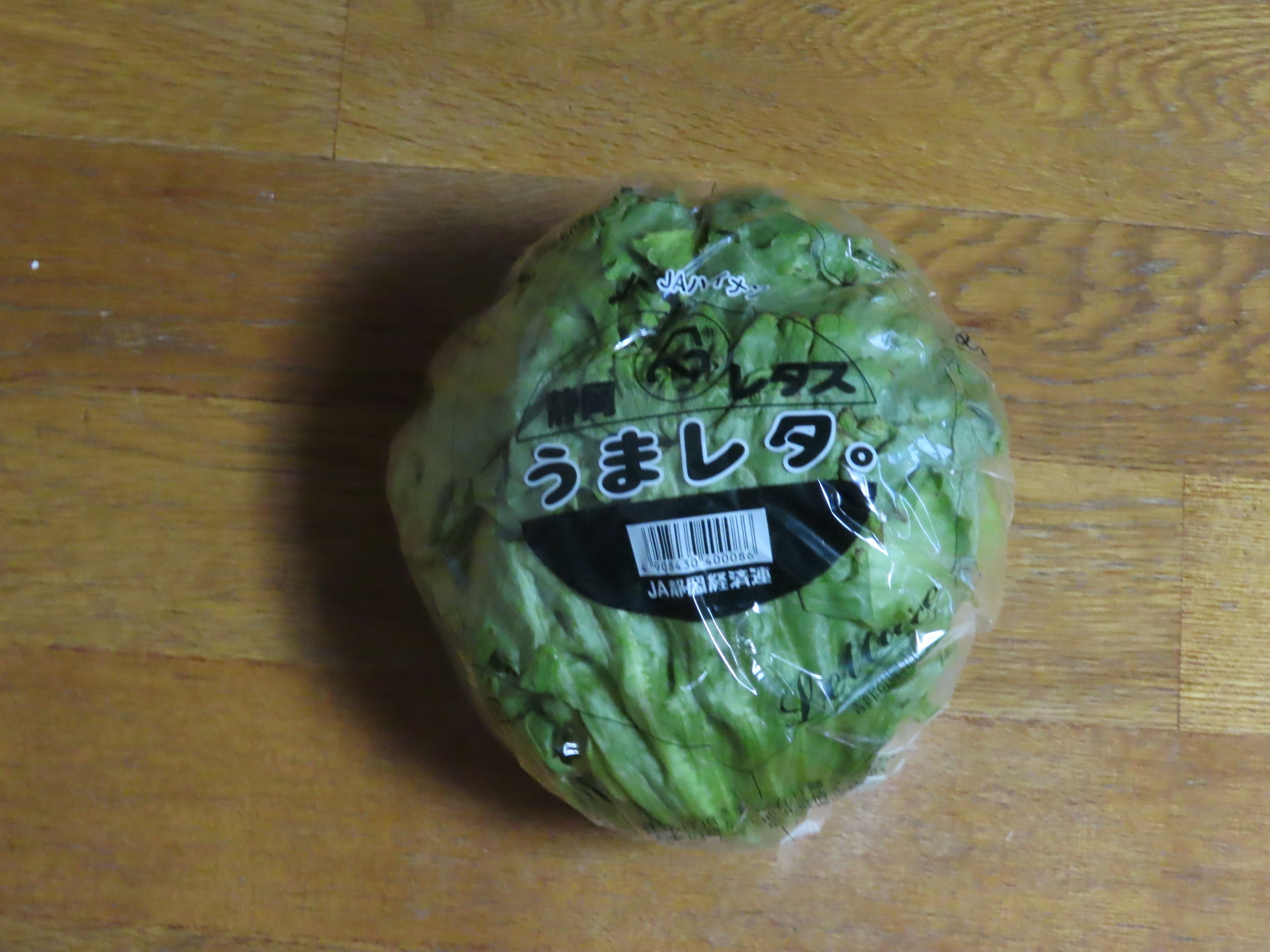 4月7日（日）朝: TA5