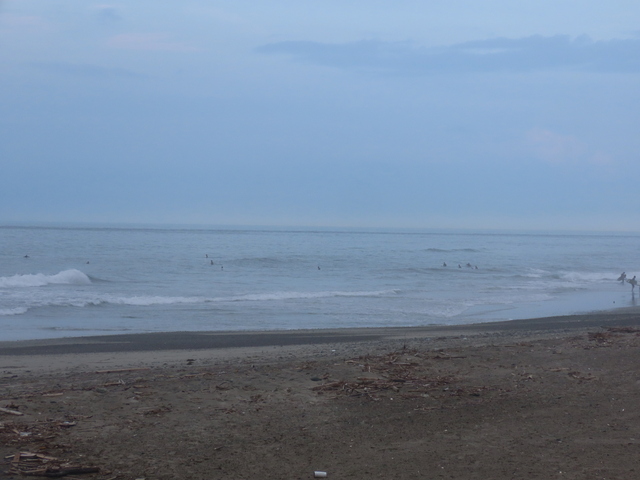 8月16日（土）朝: TA5