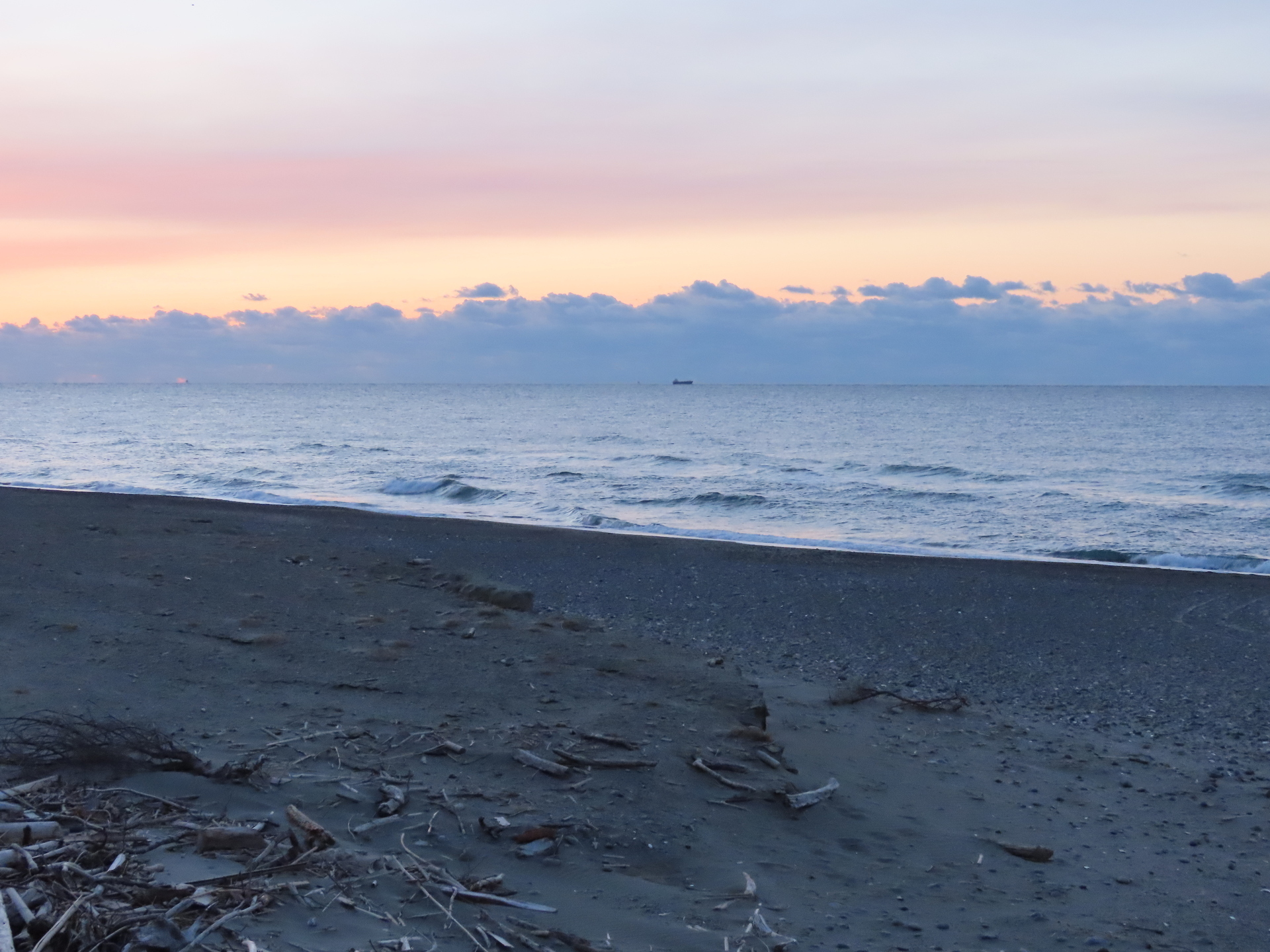 12月13日（金）朝: TA5