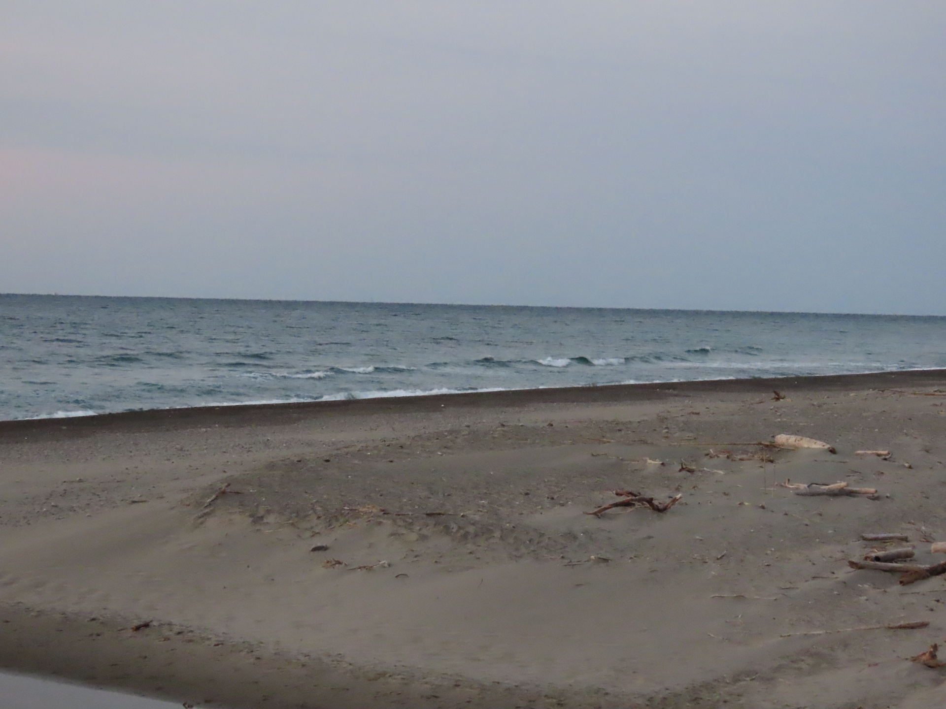 12月13日（金）朝: TA5