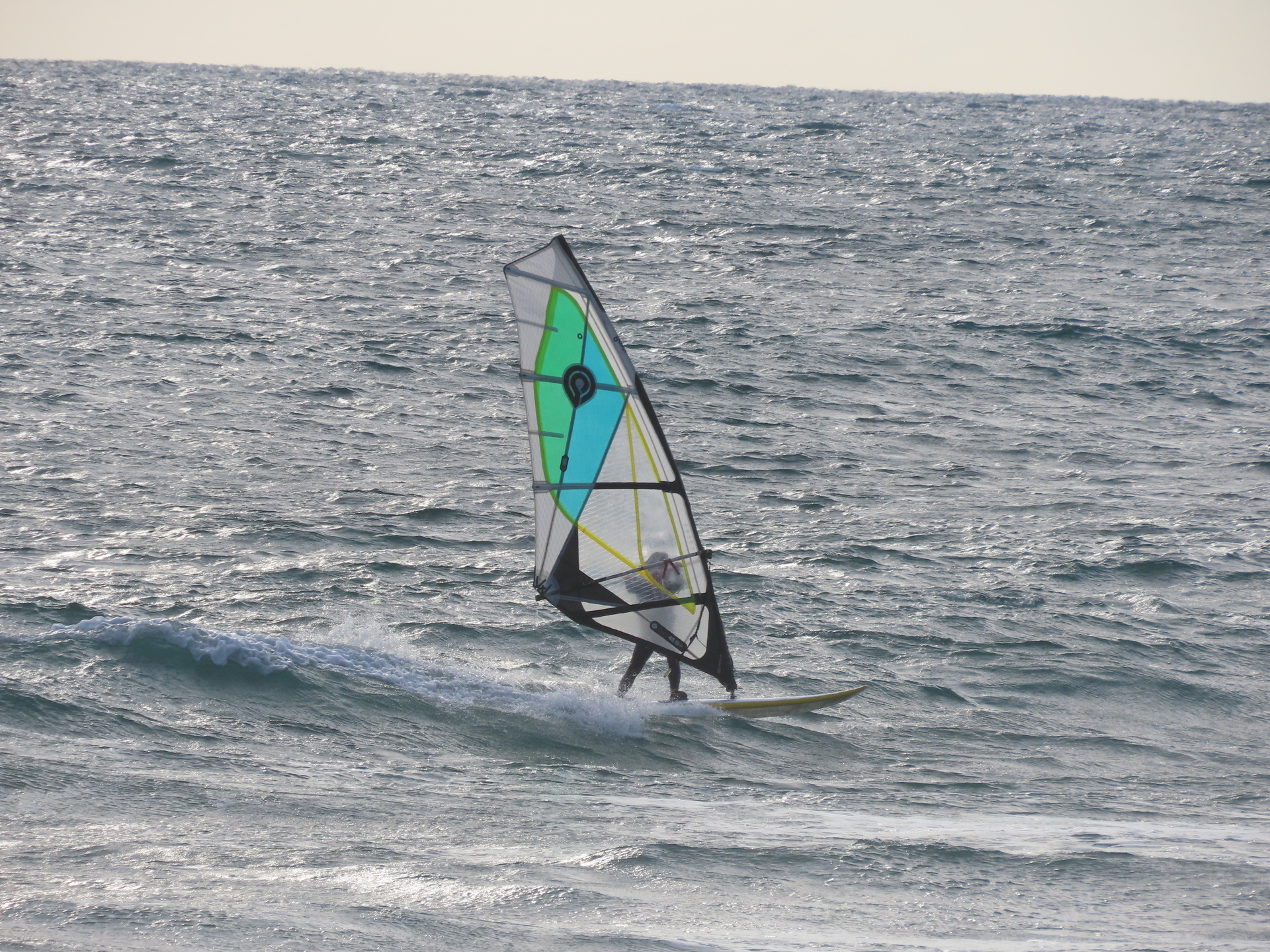 11月12日（日）ウインド: TA5