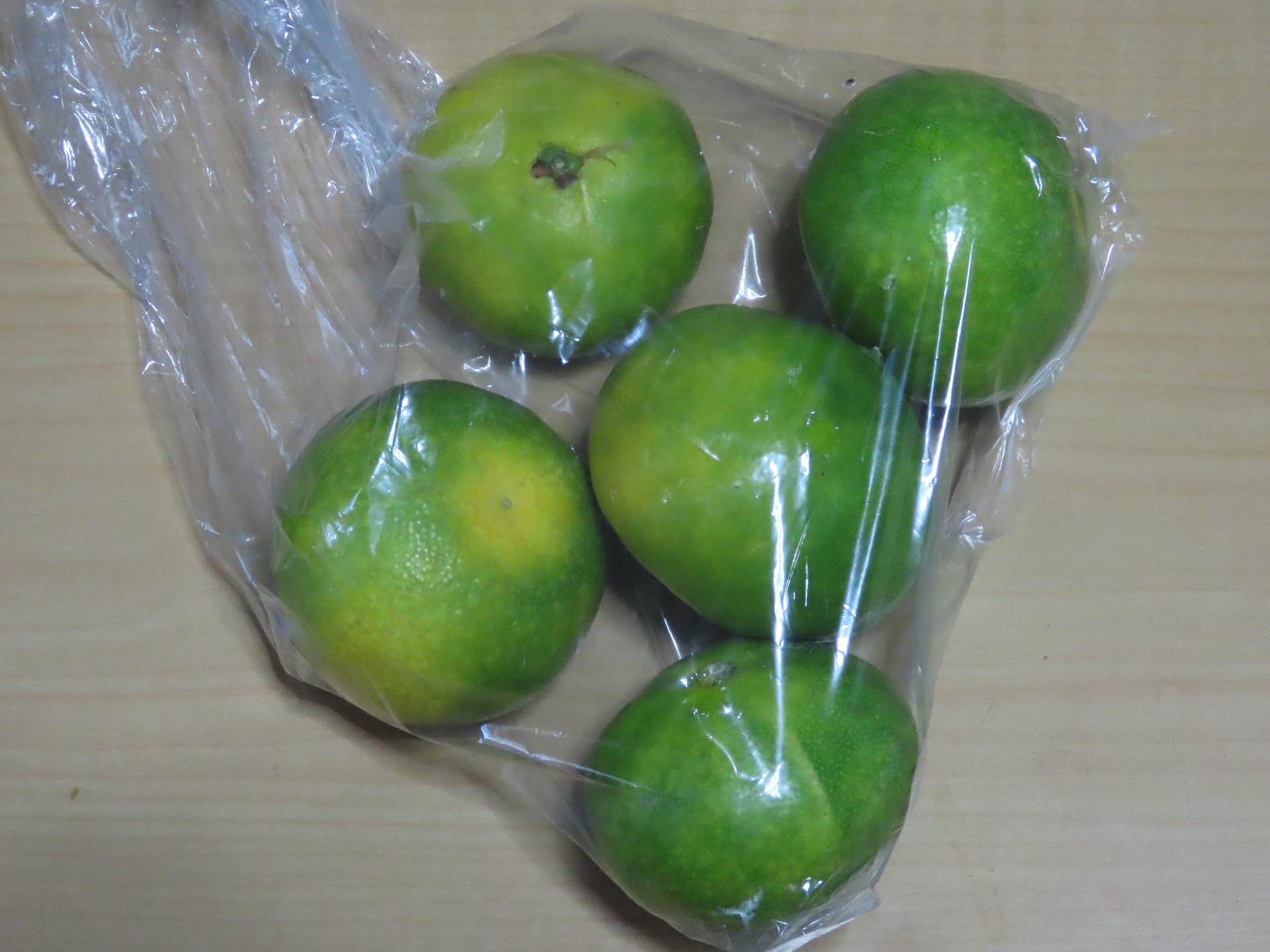 8月17日（日）静波ウインド: TA5