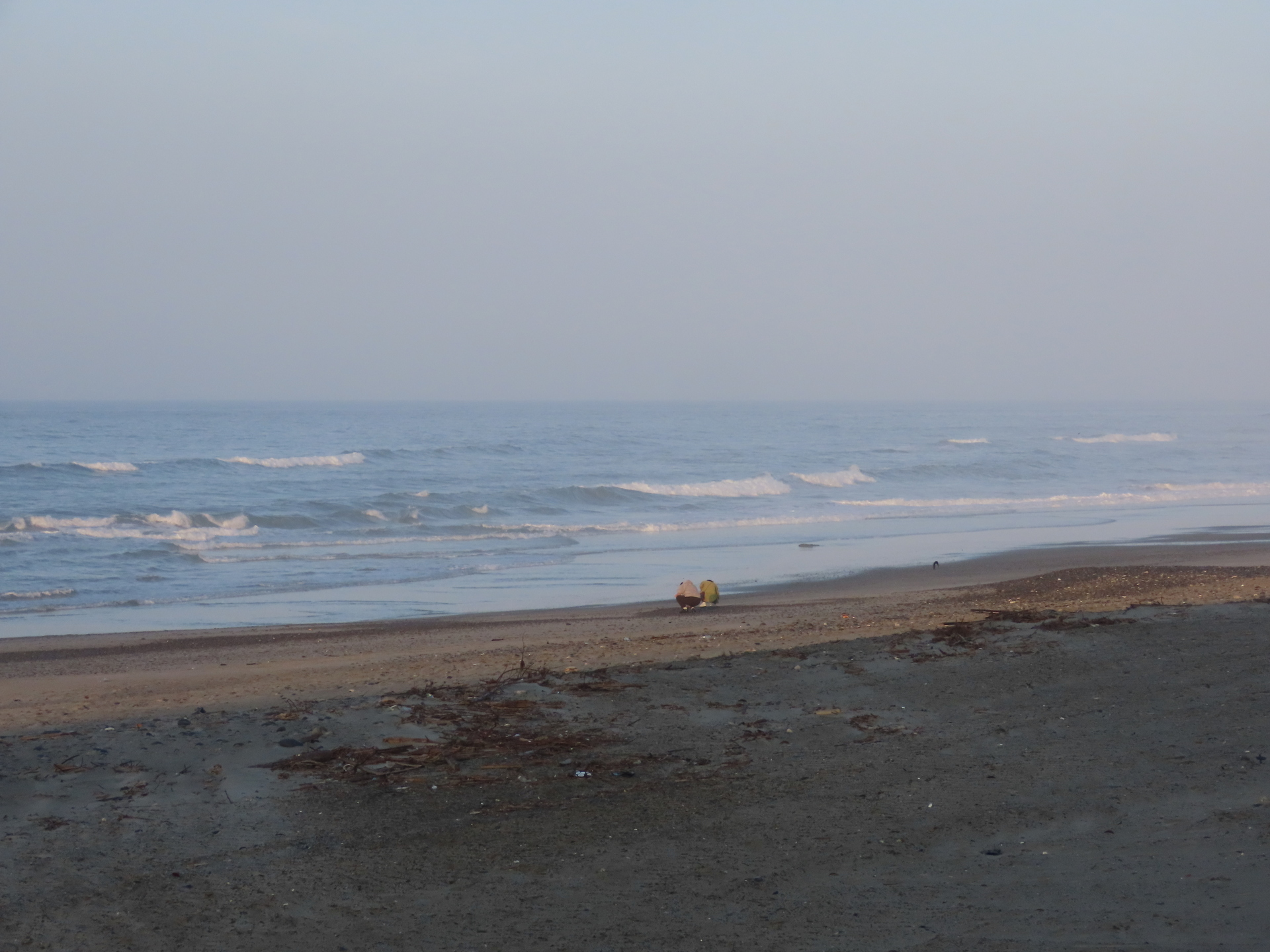 8月18日（月）朝: TA5