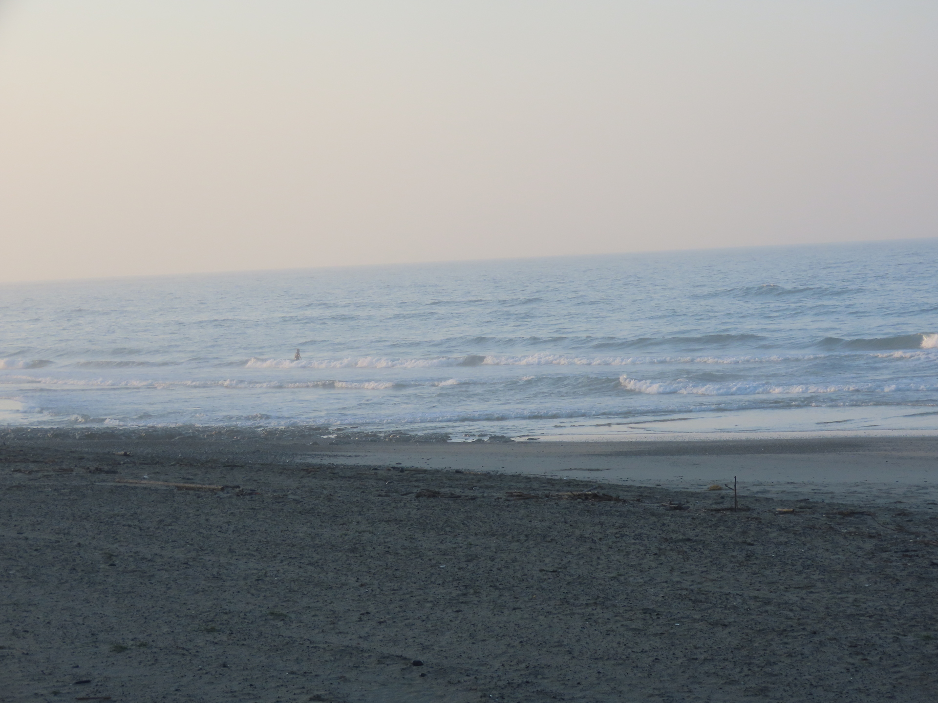 8月18日（月）朝: TA5