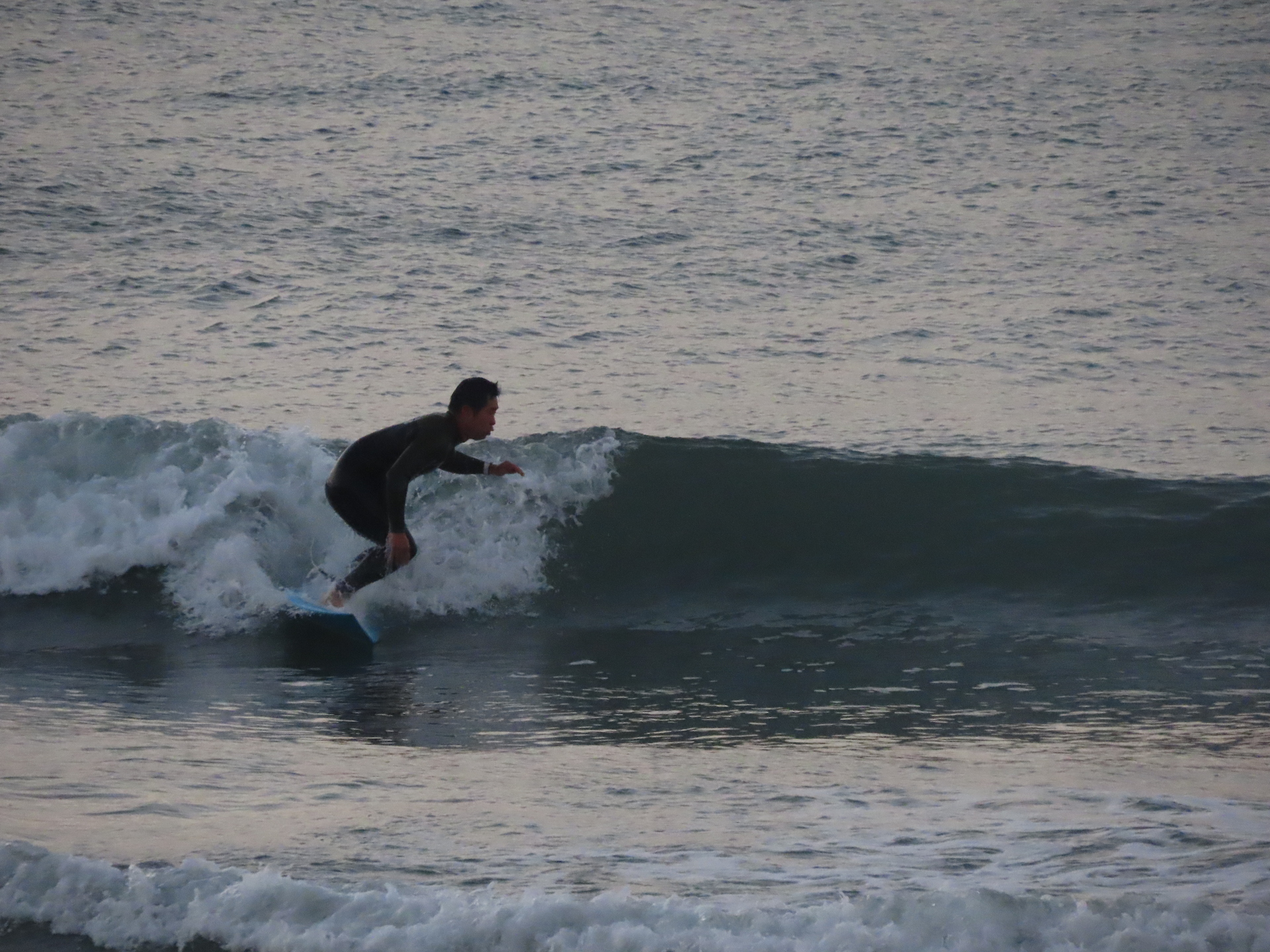 11月21日（火）朝: TA5