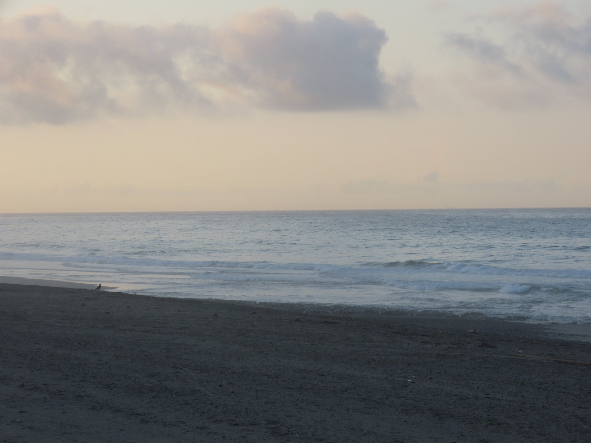 8月19日（火）朝: TA5