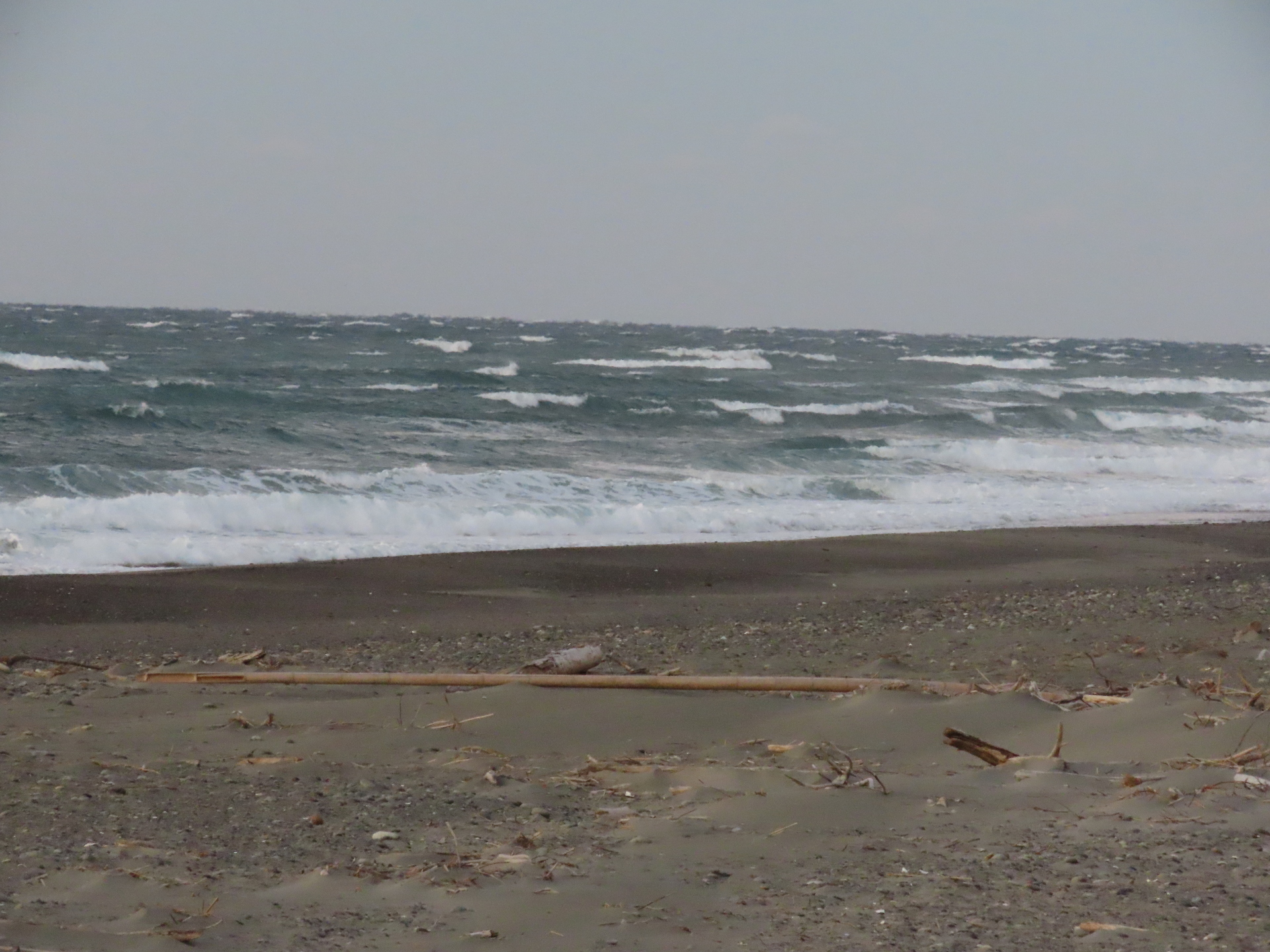 12月17日（火）朝: TA5