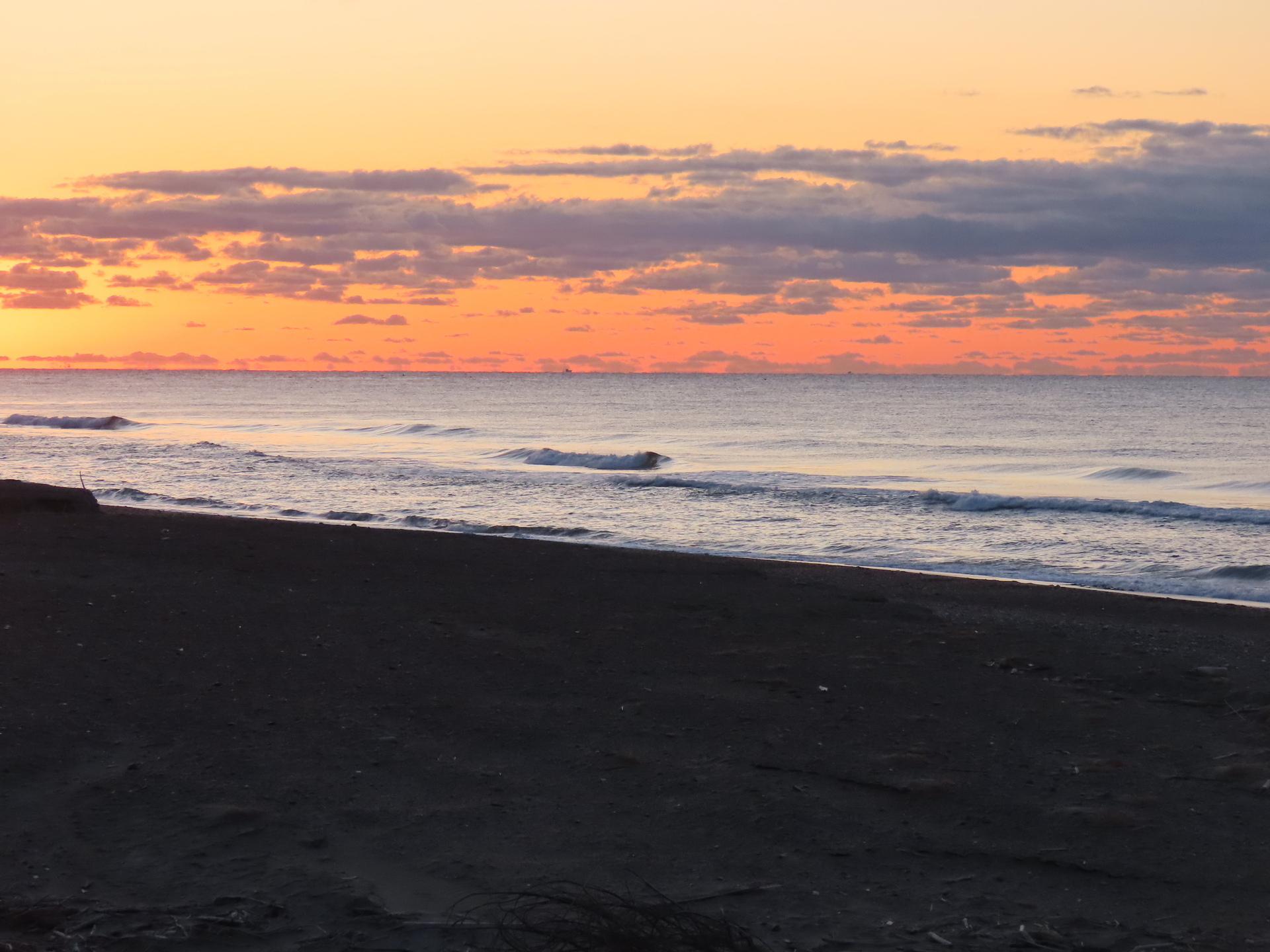 12月20日（金）朝: TA5