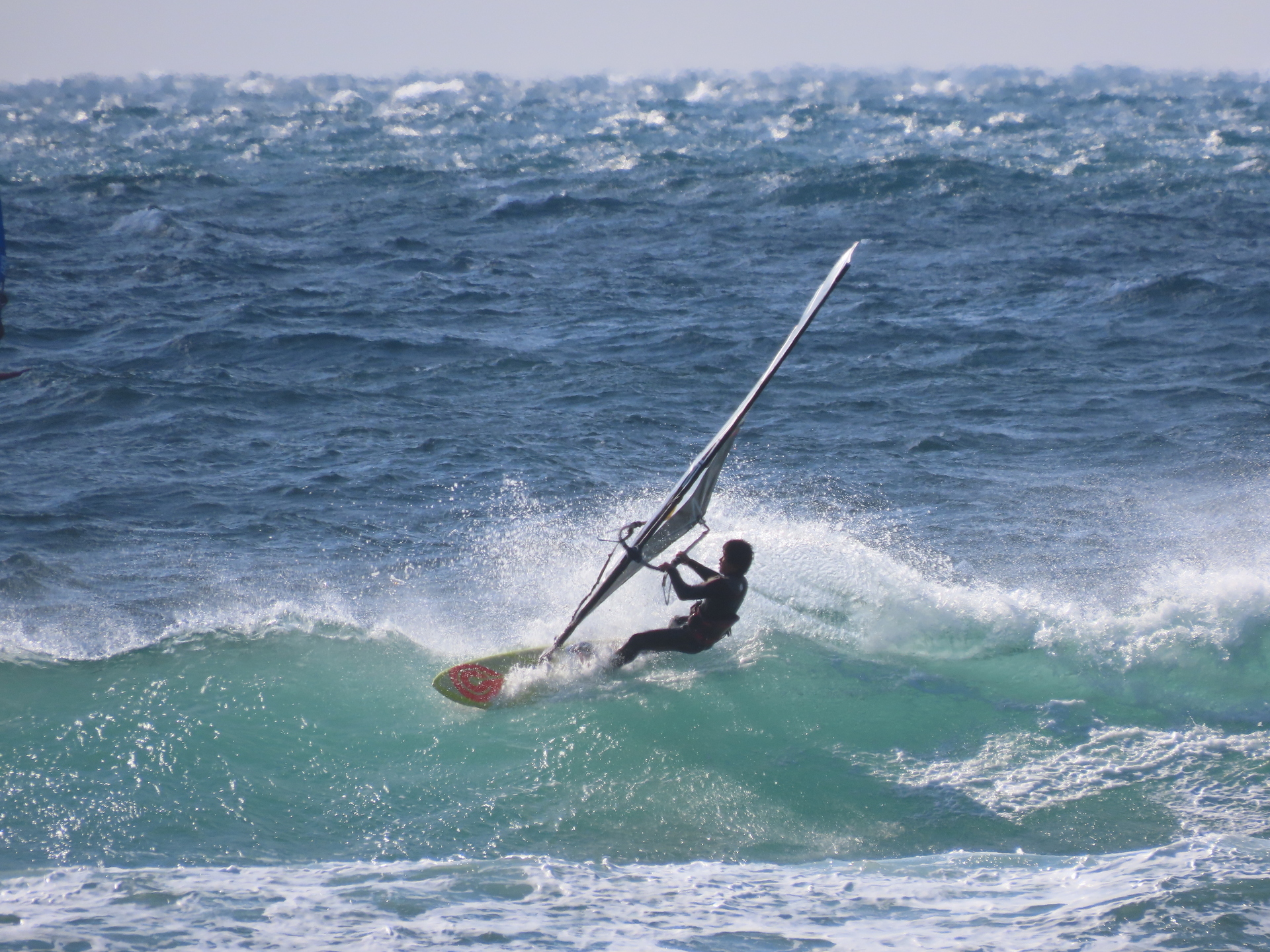 12月28日（土）ウインド: TA5