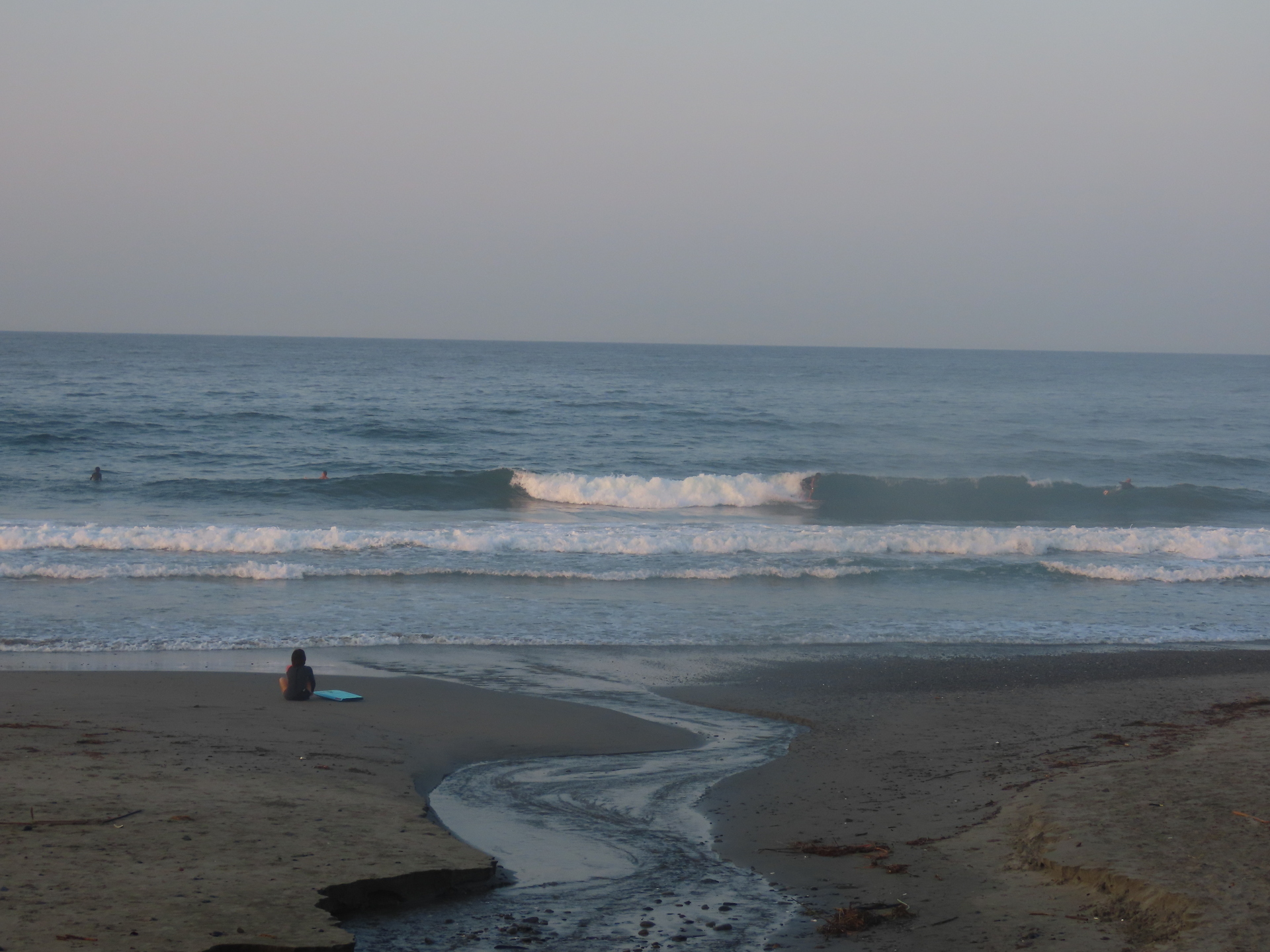 8月21日（木）朝: TA5