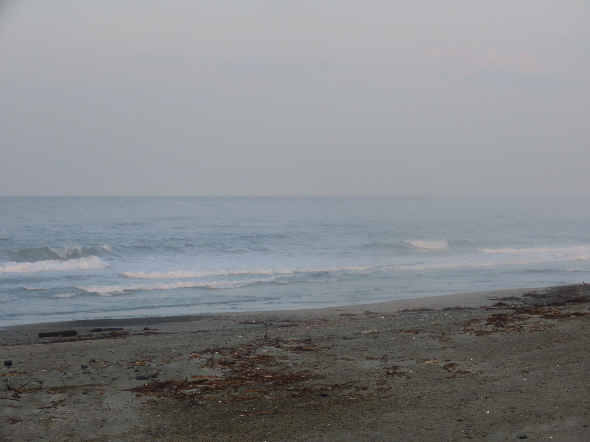 8月21日（木）朝: TA5