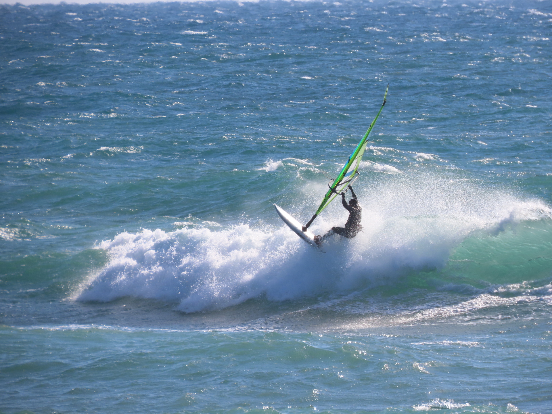 12月28日（土）ウインド: TA5