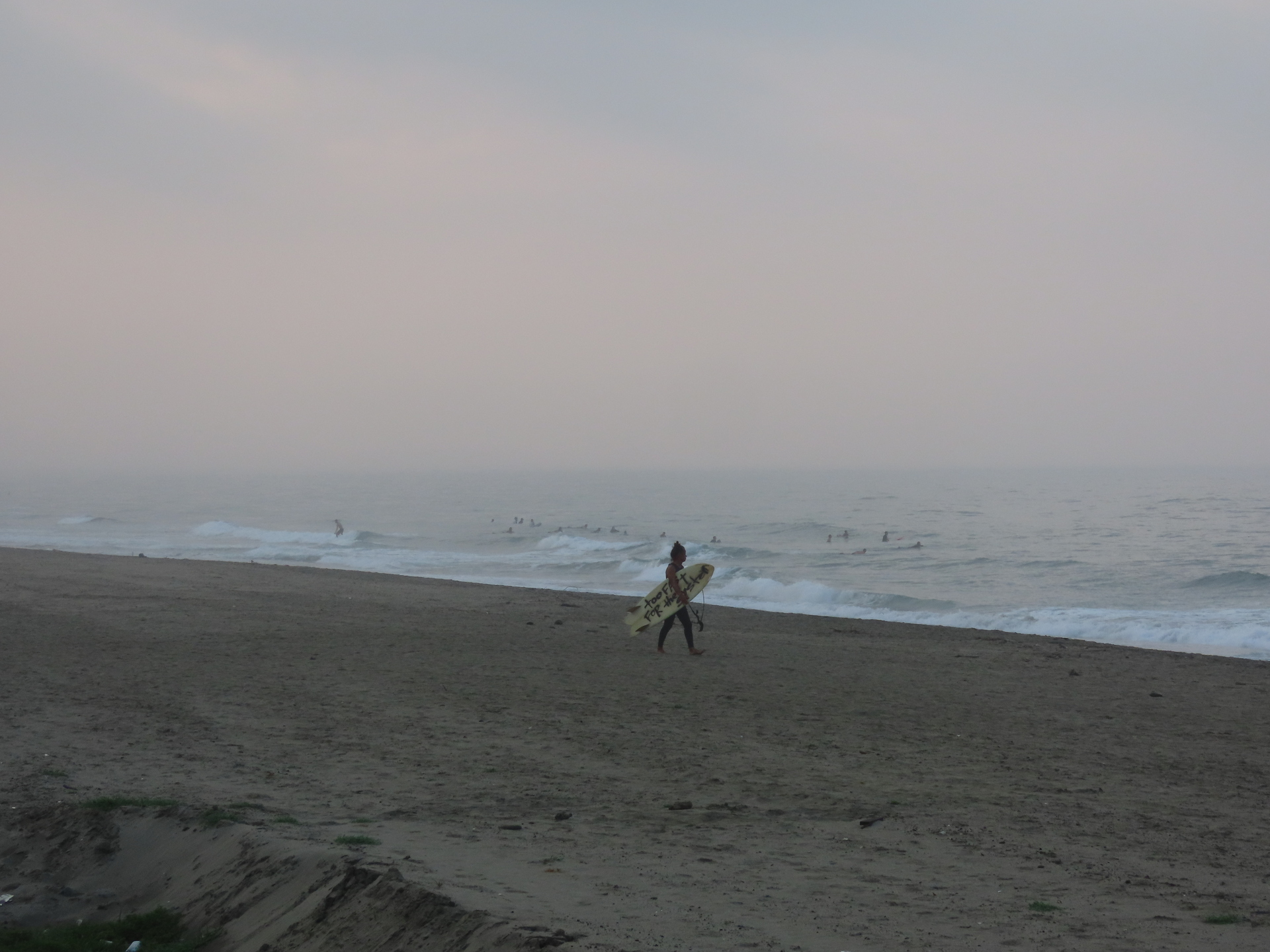 8月24日（日）朝: TA5