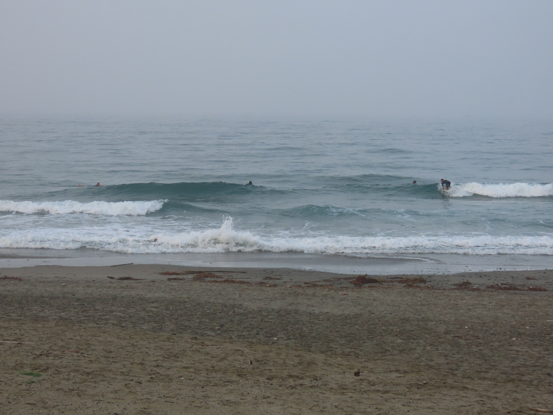 8月24日（日）朝: TA5