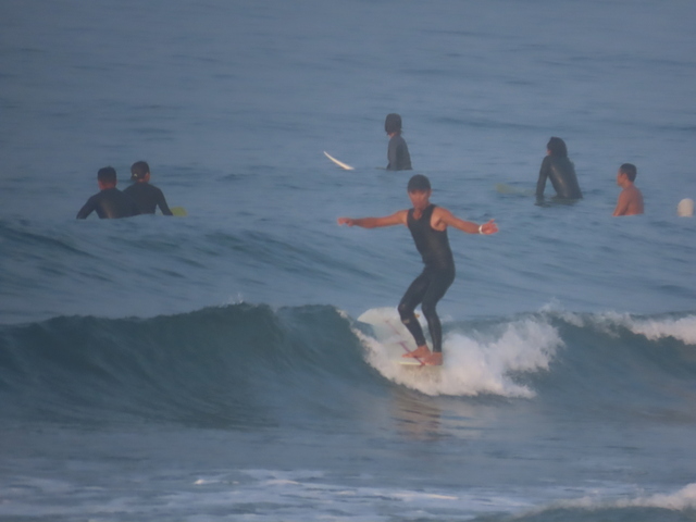 8月24日（日）朝: TA5