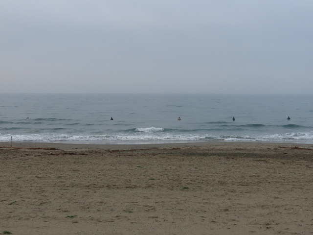 8月25日（月）朝: TA5