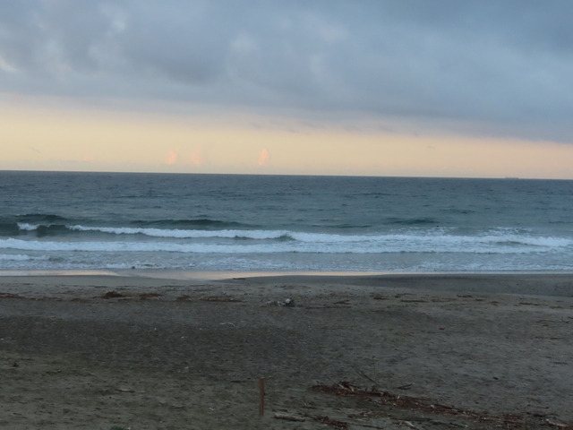 8月27日（水）朝: TA5